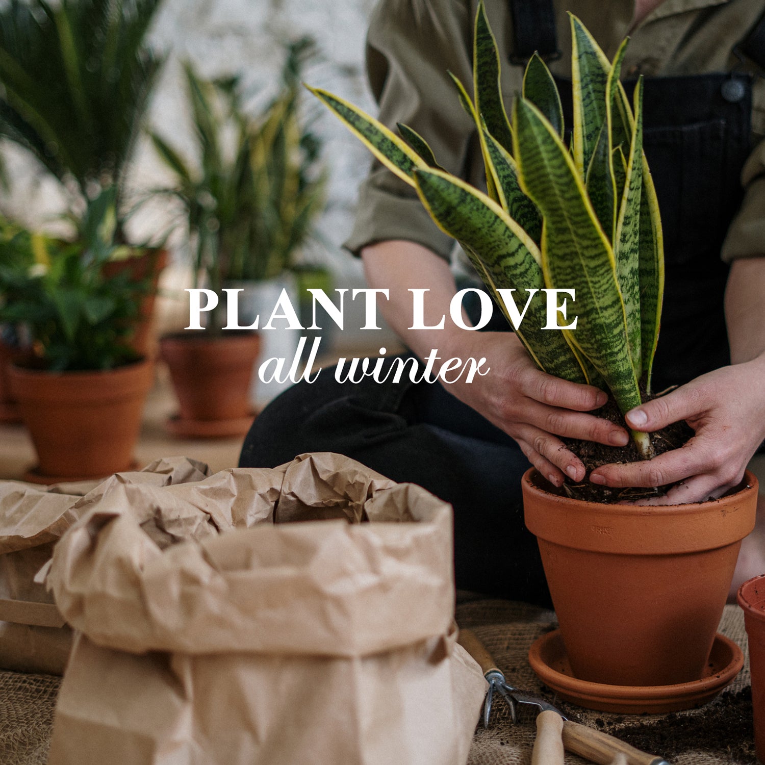 Connon Nurseries Inc – Connon Nurseries Inc.